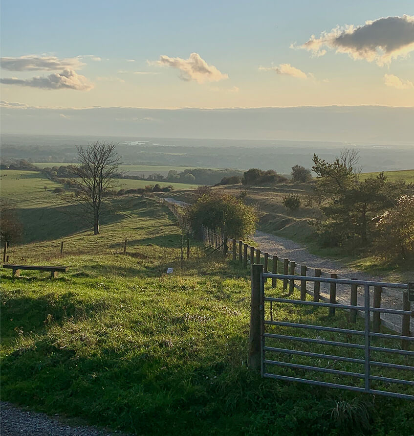 Butchery Bocs | Premium Welsh Meat Boxes Online | UK Delivery